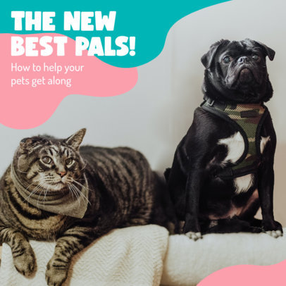 Placeit - Instagram Post Creator for a Carousel With Dog Safety Tips