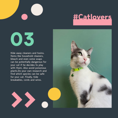 Placeit - Instagram Post Template Featuring a Tip for Beginner Cat Owners