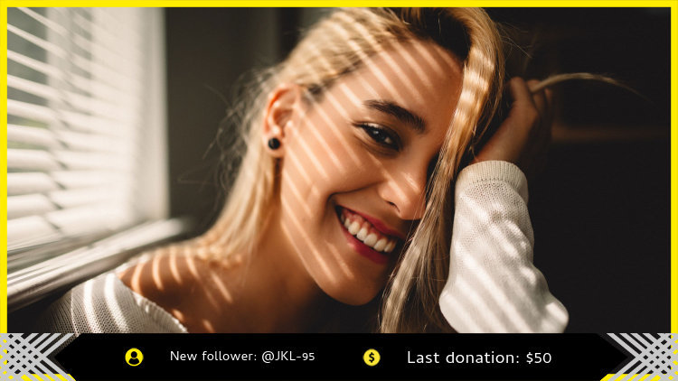 Placeit - OBS Webcam Frame Template with a Delicate Style